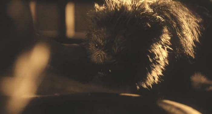 Monstrum (2018) Movie Review - HubPages