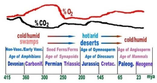 How did T-Rex become extinct? - HubPages