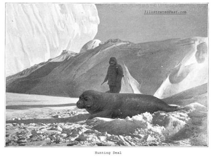 First to the South Pole - A Photo Gallery of the First Successful ...