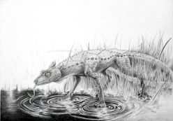 Guarani Mythology: Myths, Legends, And Monsters From Paraguay Part 1 ...