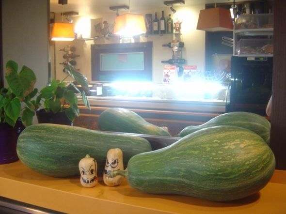 My Favourite Fall Marrow Recipes - HubPages