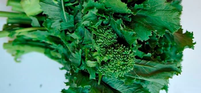30 Common and Exotic Leafy Green Healthy Vegetables - HubPages