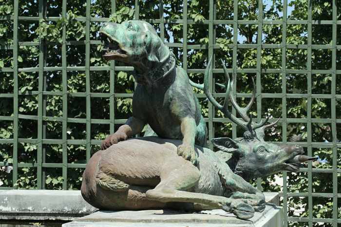 Wild Animals Fight - HubPages