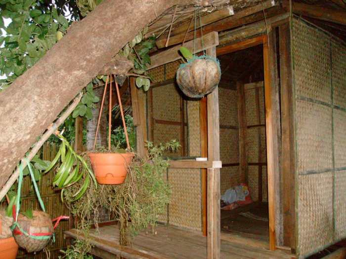 What To Do With Coconut Leaves? Creations Made From Coco Leaf - HubPages