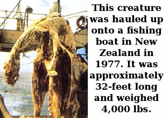 Legendary Creatures of Australian Myth and Folklore - HubPages