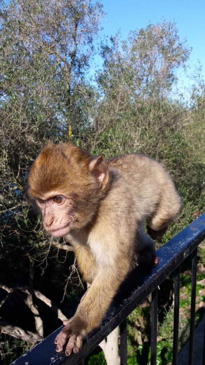 British Empire today - HubPages