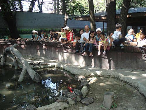 Manila Zoo in the Philippines - HubPages