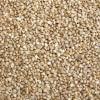 Wheat, Tare, and Weeds. Know the Difference - HubPages