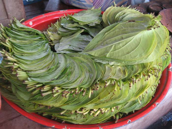 The Indian Paan - a Traditional Indian Mouth Freshener and Digestive ...