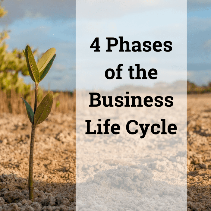 The Business Life Cycle From Establishment to Post-Maturity - HubPages