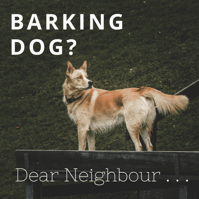 How to Write a Letter to Your Neighbour About Their Barking Dog ...