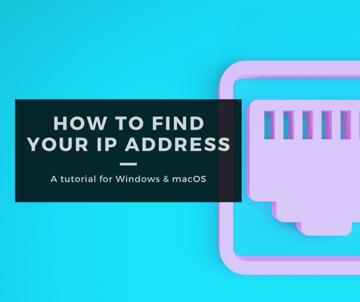 How to Find Your IP Address in Windows and MacOS - HubPages