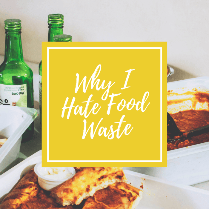 How to Stop Wasting Food and Reduce Your Impact on the Environment ...