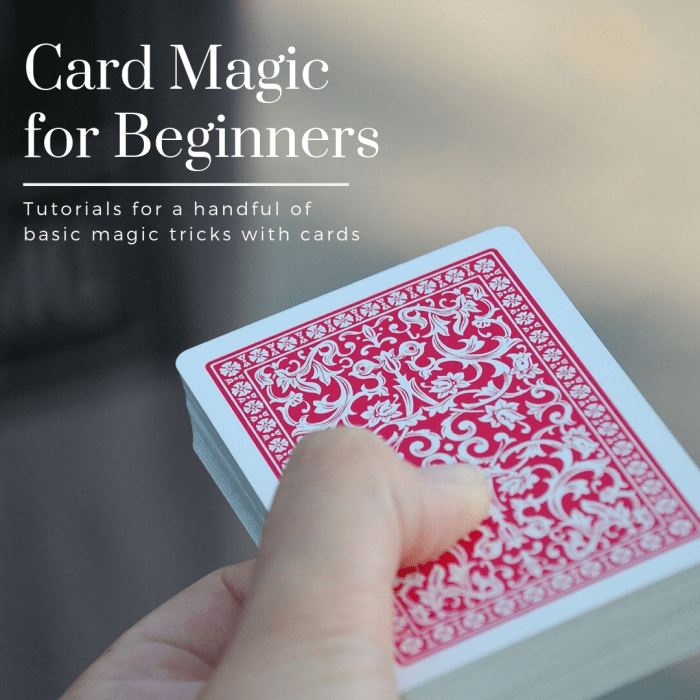 How to Do Card Magic Tricks for Beginners - HubPages