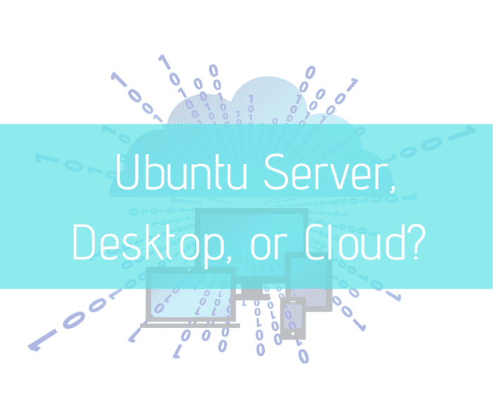 What’s the Difference Between Ubuntu’s Server, Desktop, and Cloud ...