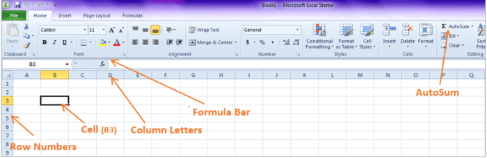 Analyzing Survey Data in Microsoft Excel: Coding, Inputting Data, and ...
