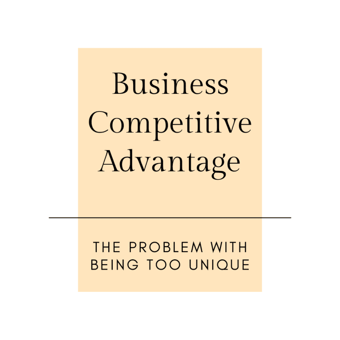 Business Competitive Advantage: The Problem With Being Too Unique ...