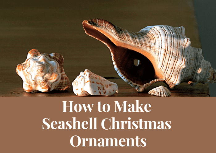 How to Make Sea Shell Christmas Ornaments - HubPages