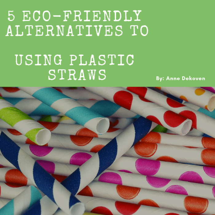 5 Eco-Friendly Alternatives to Using Plastic Straws - HubPages