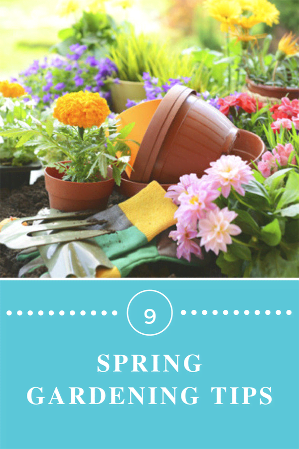 9 Essential Spring Prep Tips for a Glorious Garden - HubPages
