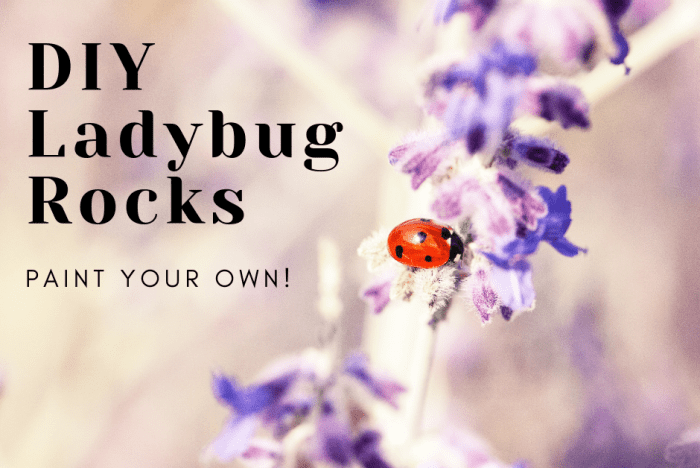 How to Paint Ladybug Rocks: Great Craft Project for Kids - HubPages