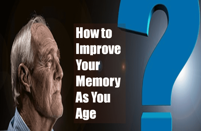 How to Improve Your Memory as You Age - HubPages