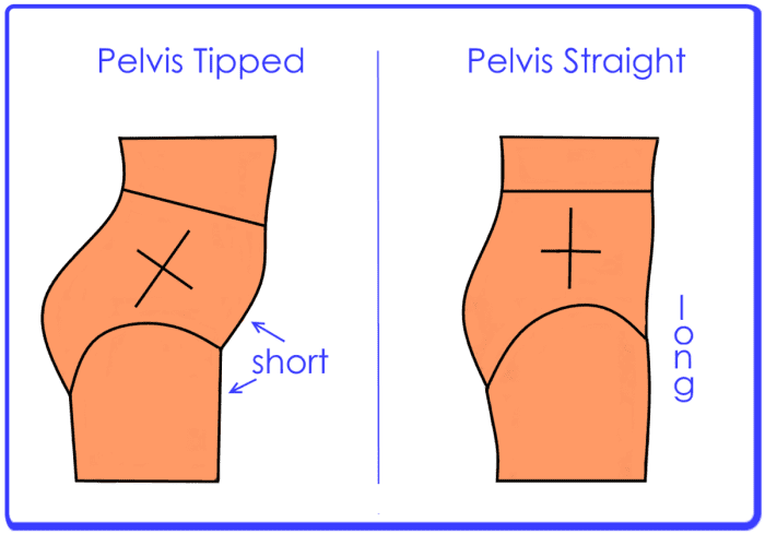 Learn How to Carry Your Core with Pelvic Exercises and a Gravity ...
