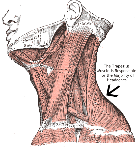 The Relationship Between Headaches and Stress - HubPages