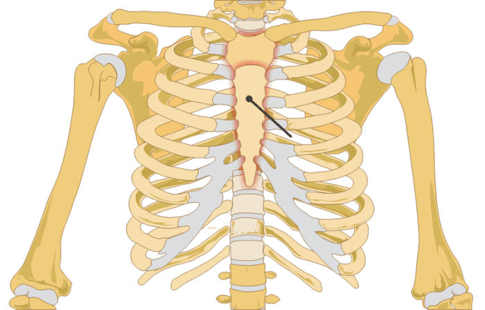 Sternum Popping: Everything You Need to Know - HubPages