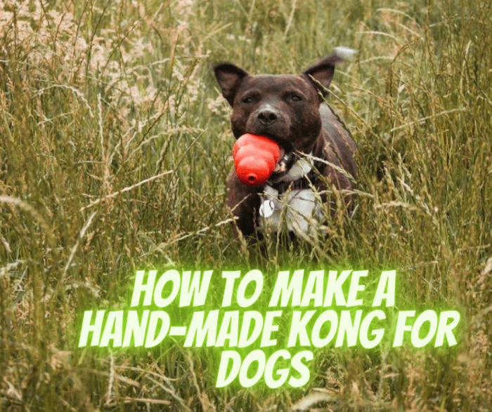 How to Distract/Redirect Dogs Using a Hand-Made Kong - HubPages