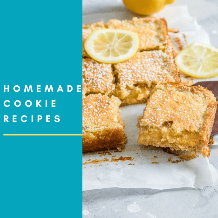 6 Favorite Homemade, Fresh-From-the-Oven Cookie Recipes - HubPages