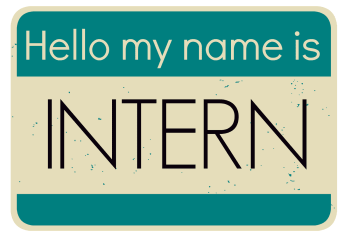 How to Effectively Manage and Mentor a Summer Intern - HubPages