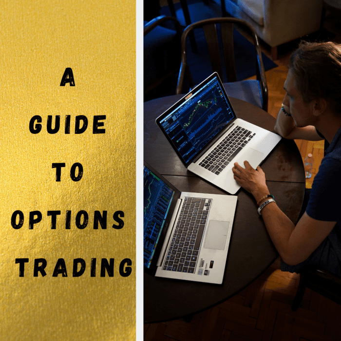 An In-Depth Guide to Options Trading: The Basics - HubPages