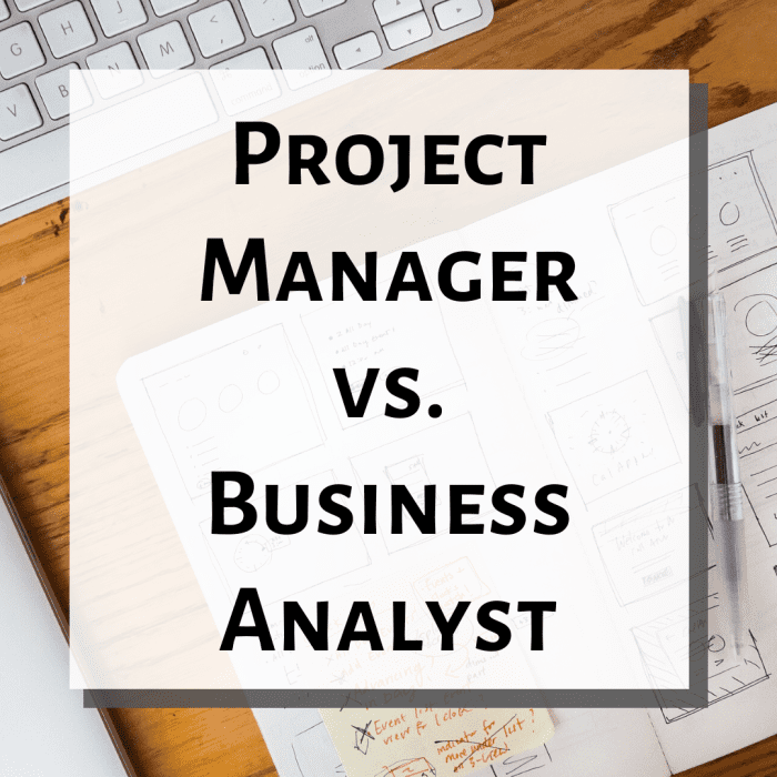 The Difference Between Project Managers and Business Analysts - HubPages