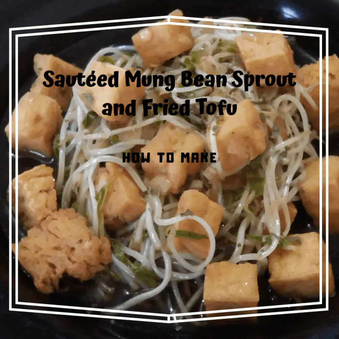 How to Make Fried Tofu With Mung Bean Sprouts - HubPages
