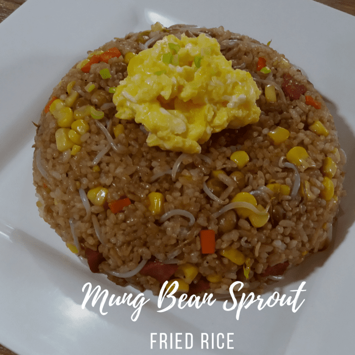 How to Cook Mung Bean Sprout Fried Rice - HubPages