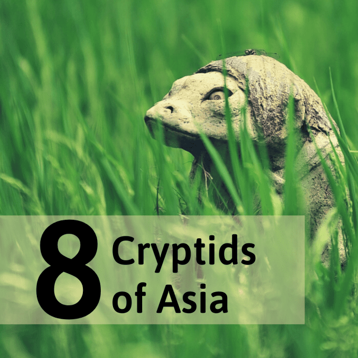 Asian Cryptids: 8 Mysterious Monsters of Asia - HubPages