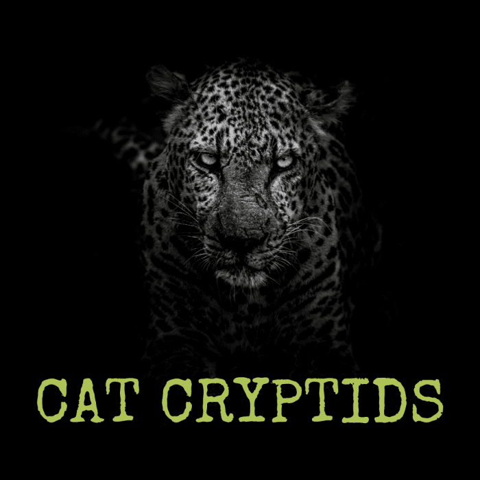 Three Cat Cryptids: White Death, Wampus Beast, and Cactus Cat - HubPages