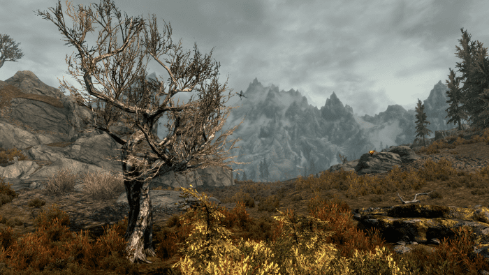 How to Take Screenshots in "Skyrim" - HubPages