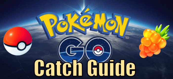 "Pokémon Go" Catch Guide: How to Maximize Your Catch Rate - HubPages
