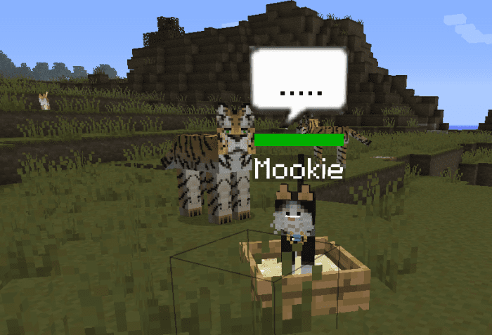 "Minecraft" Pet Cats: How to Tame and Feed Them - HubPages