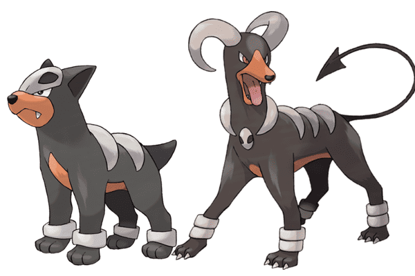 Dogs of the "Pokémon" Series - HubPages