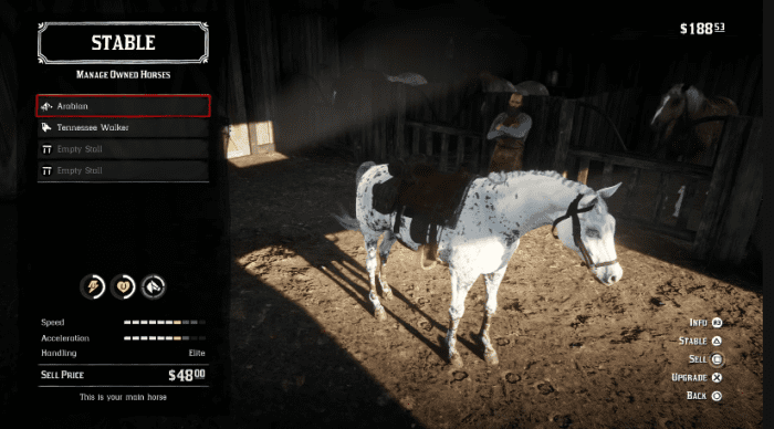 How to Get the Best Horses in "Red Dead Redemption 2" - HubPages