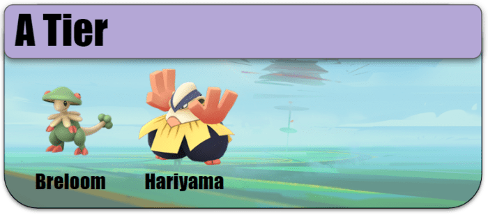 Pok mon Go Fighting Type Tier List LevelSkip pok-mon-go-fighting-type-tier-list-levelskip