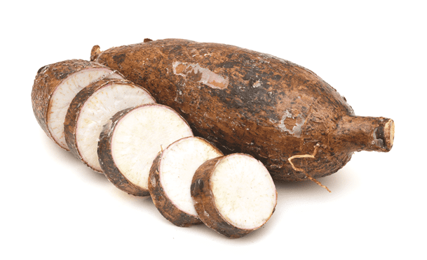 The Strange Truth About Cassava and Fertility That You Need to Know ...
