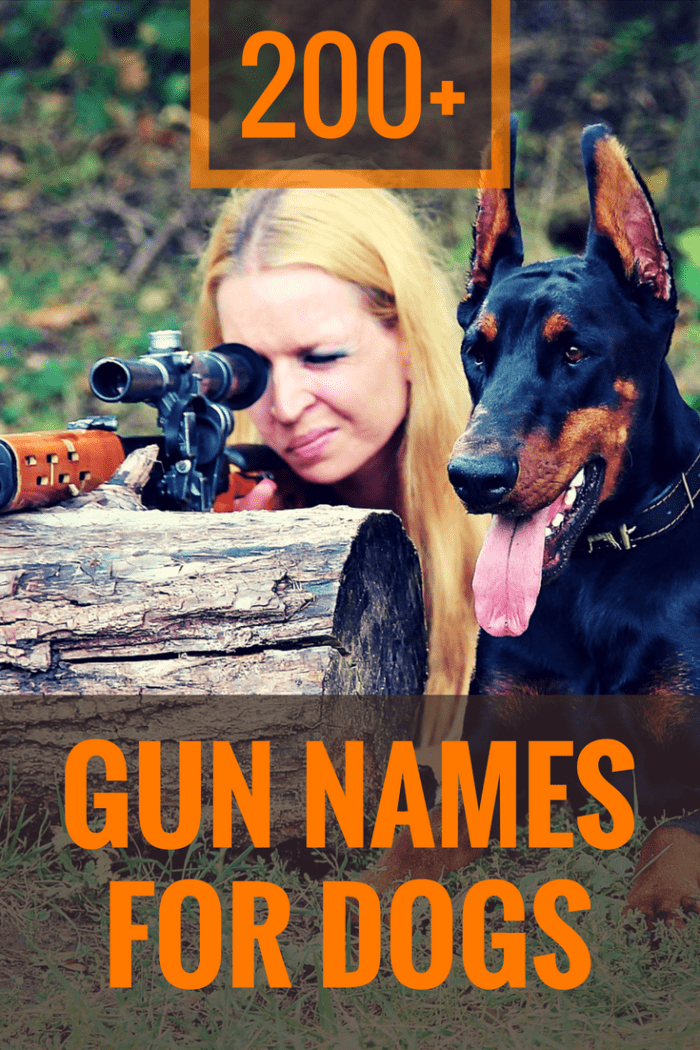 200 Gun Names For Dogs From Anderson To Uzi PetHelpful