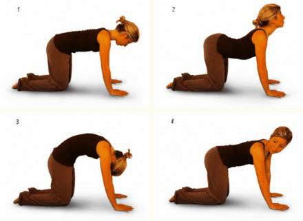 Exercises With Photos for Instant Lower Back Pain Relief - HubPages