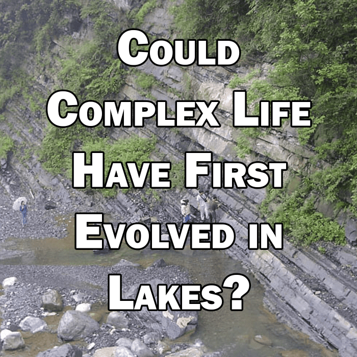Could Complex Life Have First Evolved in Lakes? - HubPages