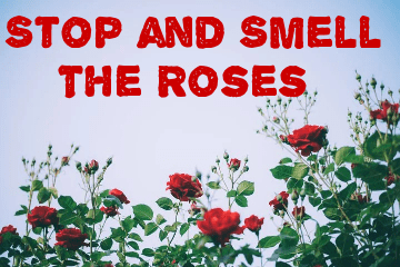 Poem: Stop and Smell The Roses - HubPages