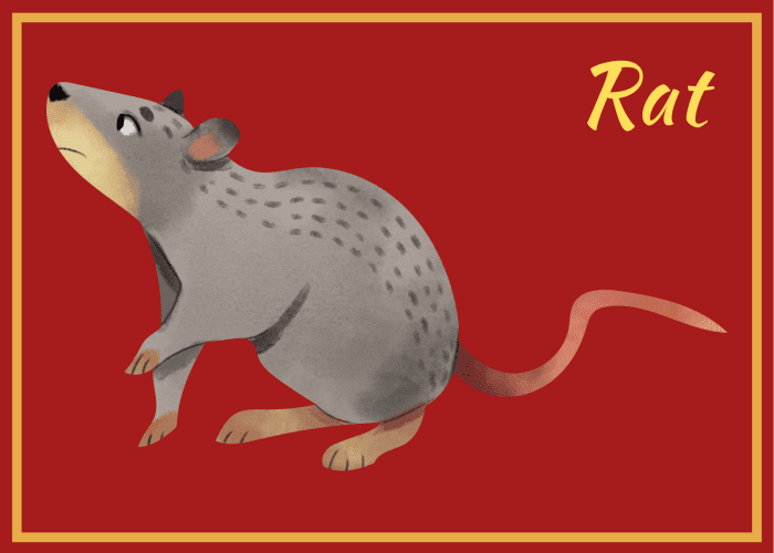 The 12 Chinese New Year Animals: A Zodiac Story for Kids - HubPages